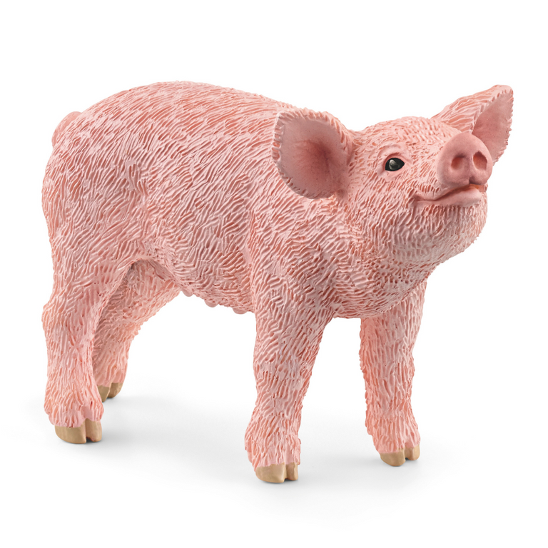 Piglet, standing (bundle) 17062 FARM WORLD | schleich